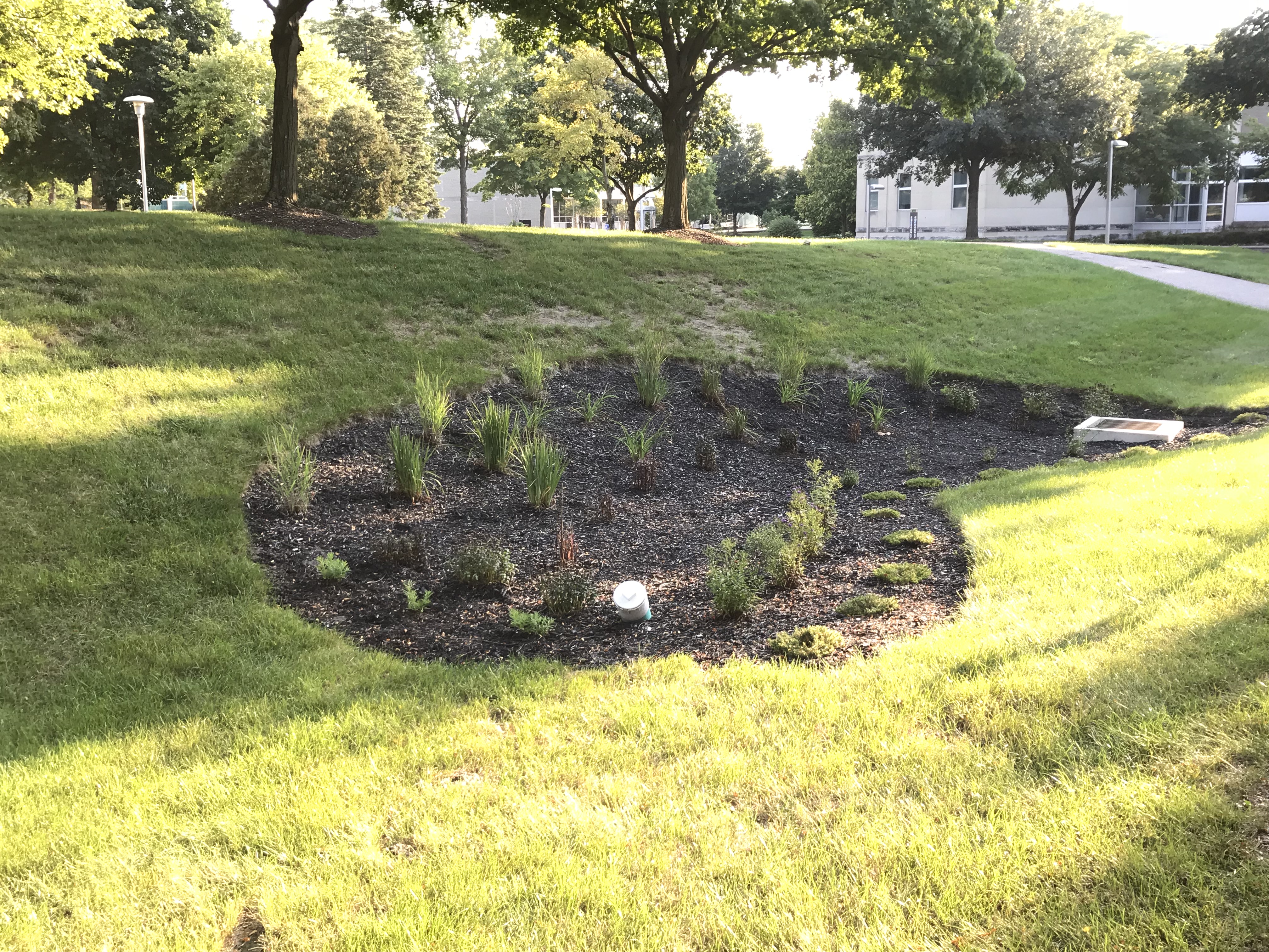 New Bio-retention Cells (rain gardens) by Branch Rickey Arena on OWU’s ...