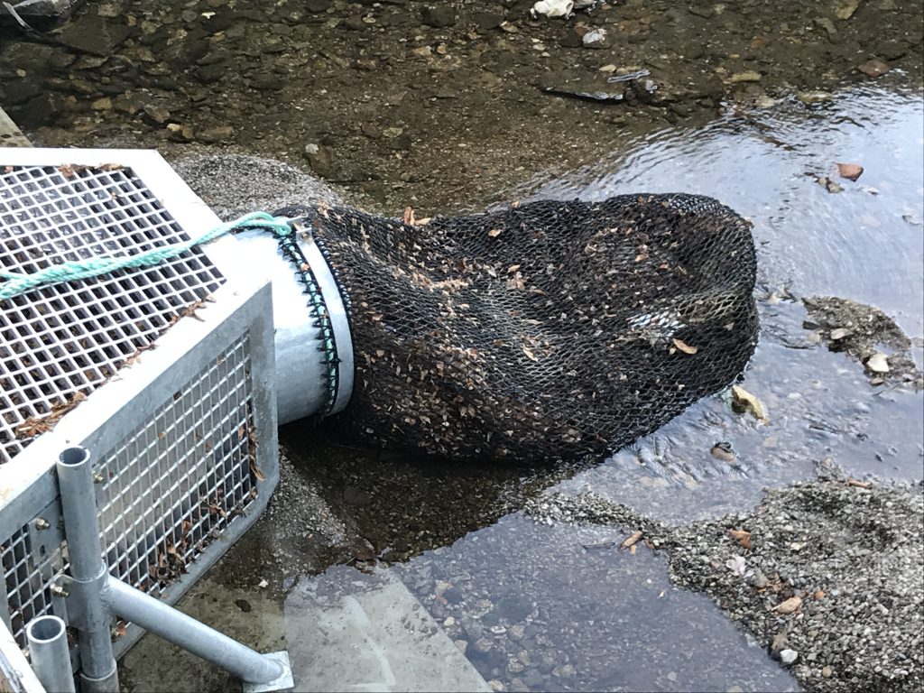 Delaware Run Storm Drain Net Installed and Catching Crap ...