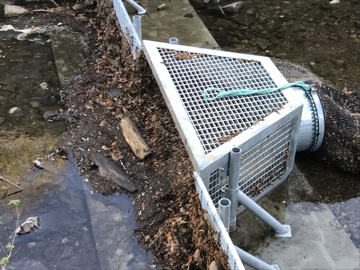 Delaware Run Storm Drain Net Installed and Catching Crap ...